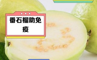 番石榴哪些人不能吃_番石榴禁忌人群