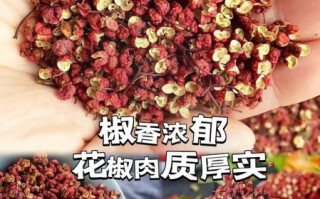 大红袍花椒产地哪里最好_正宗大红袍花椒产地排名