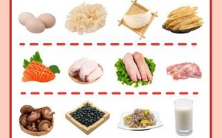 胶原蛋白怎么补最好_吃什么最有效