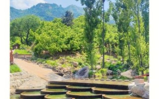 椿树沟在哪里_椿树沟有什么好玩的