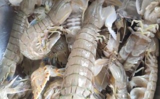 虾爬子煮多久口感最好_虾爬子煮几分钟才鲜嫩