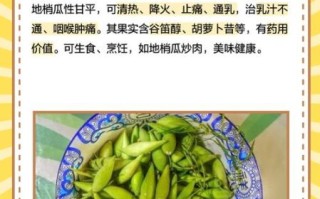 梢瓜的功效与作用_梢瓜怎么吃最养生
