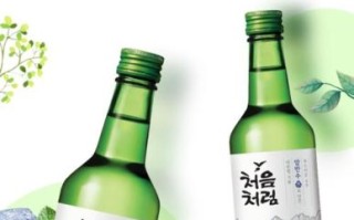 韩国烧酒什么味_韩国烧酒好喝吗