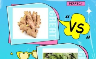 姜黄是生姜吗_姜黄和生姜的区别