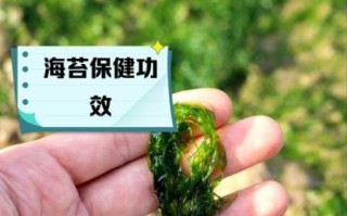 海苔是什么做的_海苔有什么作用