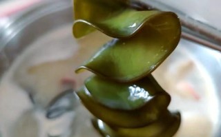 海木耳是什么_海木耳怎么泡发才干净