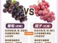 葡萄和提子哪个补血好_吃哪种更有效