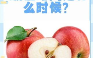 苹果什么时候吃最好_苹果减肥的正确吃法
