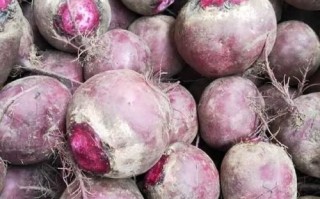 红甜菜头怎么做好吃_红甜菜头做法大全