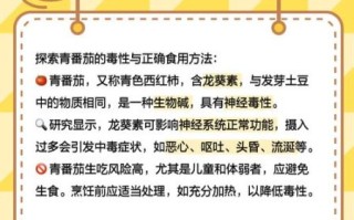 蒸青番茄怎么做_蒸青番茄的做法步骤