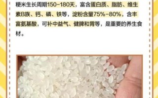 粳米好吃还是大米好吃_哪个更香软