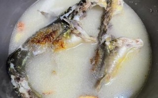 黄蜂鱼煮汤怎么煮才好吃_黄蜂鱼汤去腥技巧
