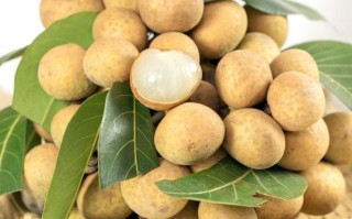 38周吃桂圆会流产吗_孕晚期吃桂圆安全吗