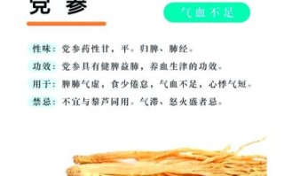 人参片和西洋参片的区别_哪个更适合日常泡水