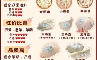 孕妇吃燕窝的最佳时期_孕几周开始吃最合适 孕妇吃燕窝的最佳时期_孕几周开始吃最合适