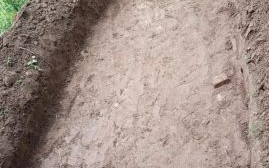 黄鳝养殖技术_黄鳝池子怎么建