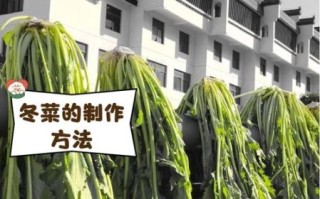 冬菜可以用什么代替_冬菜替代品推荐
