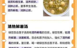 绿豆百合汤怎么做_绿豆百合汤的功效与禁忌