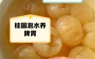 桂圆肉泡水喝正确方法_桂圆肉泡水一天吃多少合适
