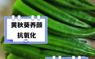 黄秋葵的营养价值及功效_怎么吃最健康