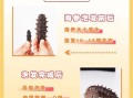 海参泡发多久能吃_海参怎么泡发最好