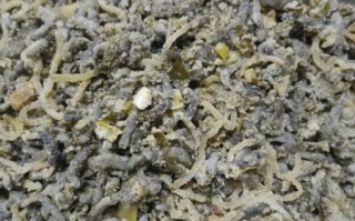 孕妇能吃发菜吗_孕妇吃发菜注意事项