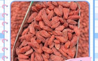 孕妇可以吃枸杞吗_怀孕吃枸杞注意事项