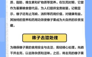 橡果怎么吃_橡果的营养价值