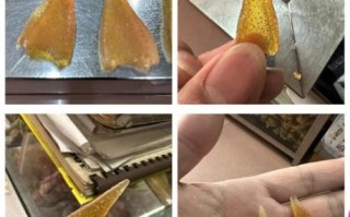 鱼翅真实图片_鱼翅真假怎么辨别