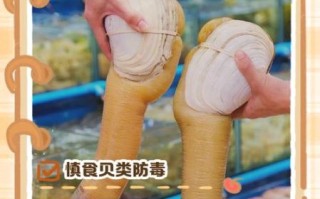 吃象拔蚌的禁忌_哪些人不能吃象拔蚌