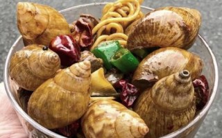 蜗牛吃什么长得快_蜗牛最爱食物排行榜