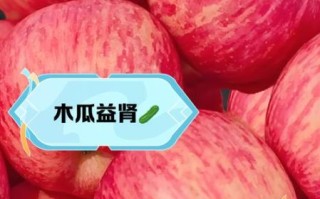吃什么水果对肾好_慢性肾病能吃哪些水果