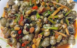 田螺怎么炒好吃_田螺清洗去沙最快方法