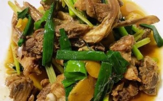 炒鸭肉怎么做好吃_炒鸭肉的做法大全