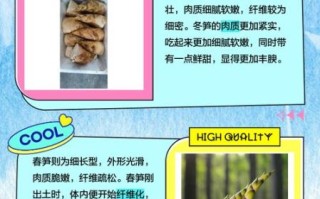 笋的种类有哪些_如何区分春笋冬笋