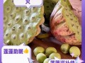 莲蓬的功效与作用_莲蓬怎么吃最养生
