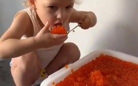 马哈鱼籽最简单的做法_马哈鱼籽怎么做好吃