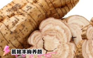 野生葛根的功效与作用_野生葛根怎么吃最好
