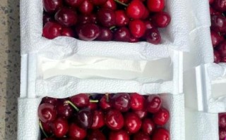 车厘子为什么那么贵_车厘子价格高的原因