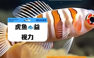 虎鱼毒性有多强_被虎鱼刺伤怎么办