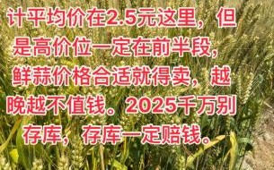 大蒜网靠谱吗_大蒜网价格为什么便宜