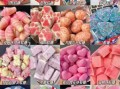 糖果图片大全真实_哪些糖果最值得收藏