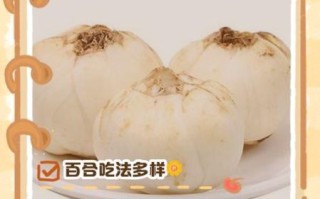 鲜百合怎么吃法最好_鲜百合怎么吃最营养