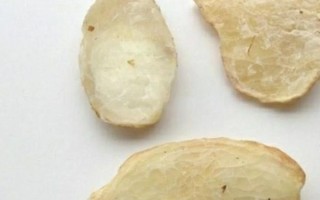 白芷祛斑的正确方法_白芷面膜多久见效