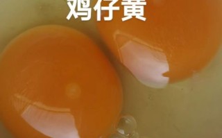 鸡子黄是什么东西_鸡子黄的功效与作用