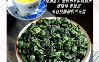 铁观音茶叶的功效与作用_铁观音适合什么人喝