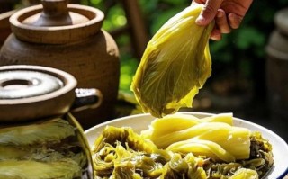 四川老坛酸菜怎么吃_四川老坛酸菜的做法大全