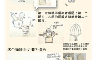 自制酵母的做法_自制酵母配方比例