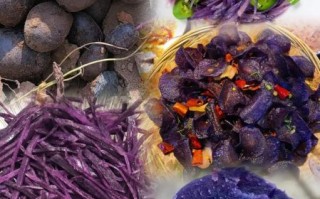 黑美人土豆怎么种_黑美人土豆营养价值高吗