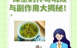 绿茶的功效与作用及食用方法_绿茶怎么喝最健康